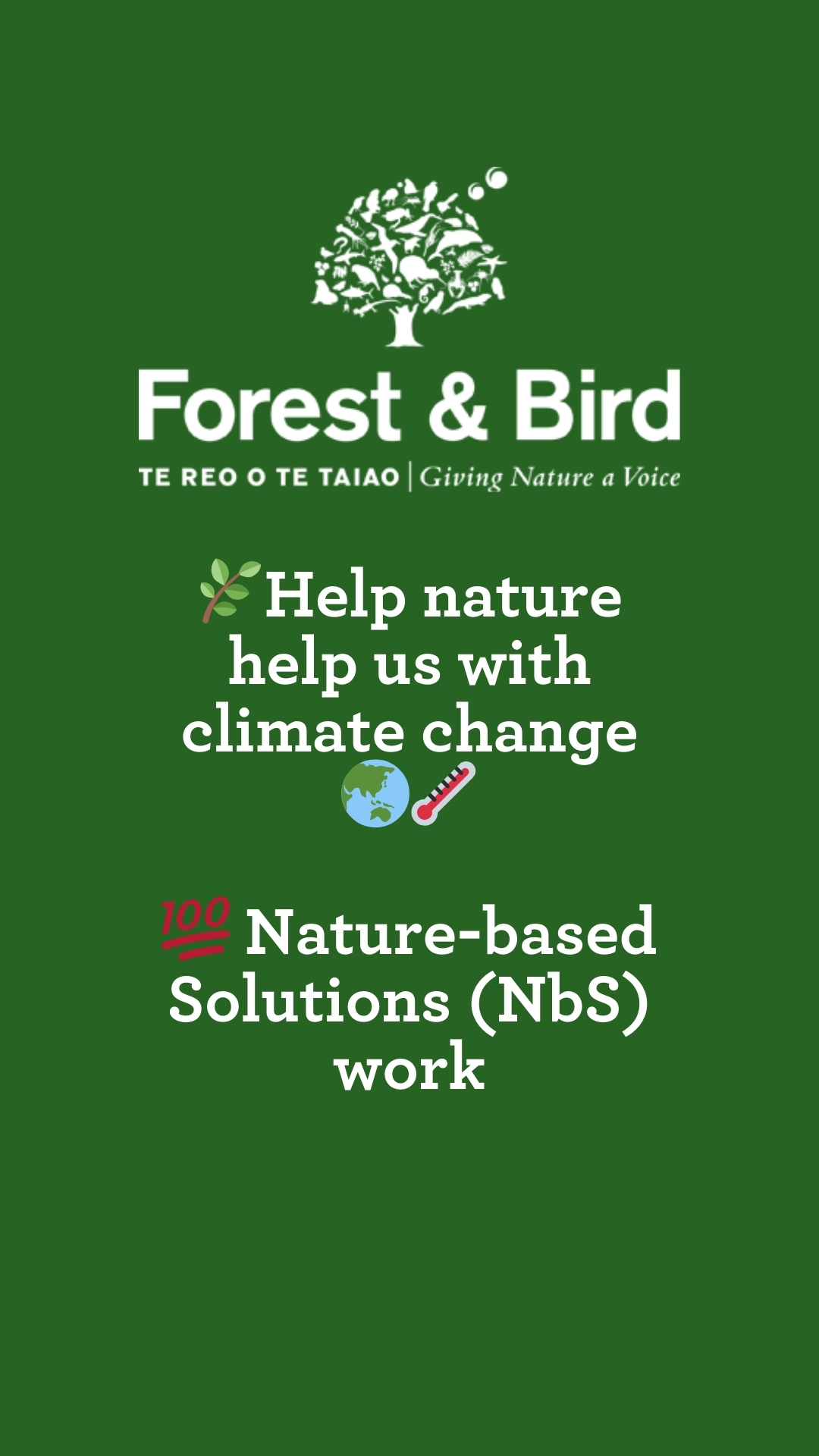 Choose Nature-based solutions | Forest and Bird