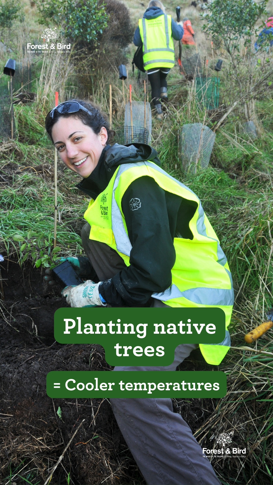 Choose Nature-based solutions | Forest and Bird