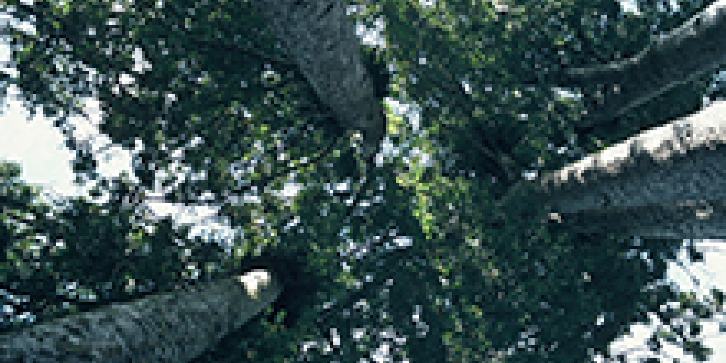 Pryce's Rahui Reserve, Rangitīkei | Forest and Bird