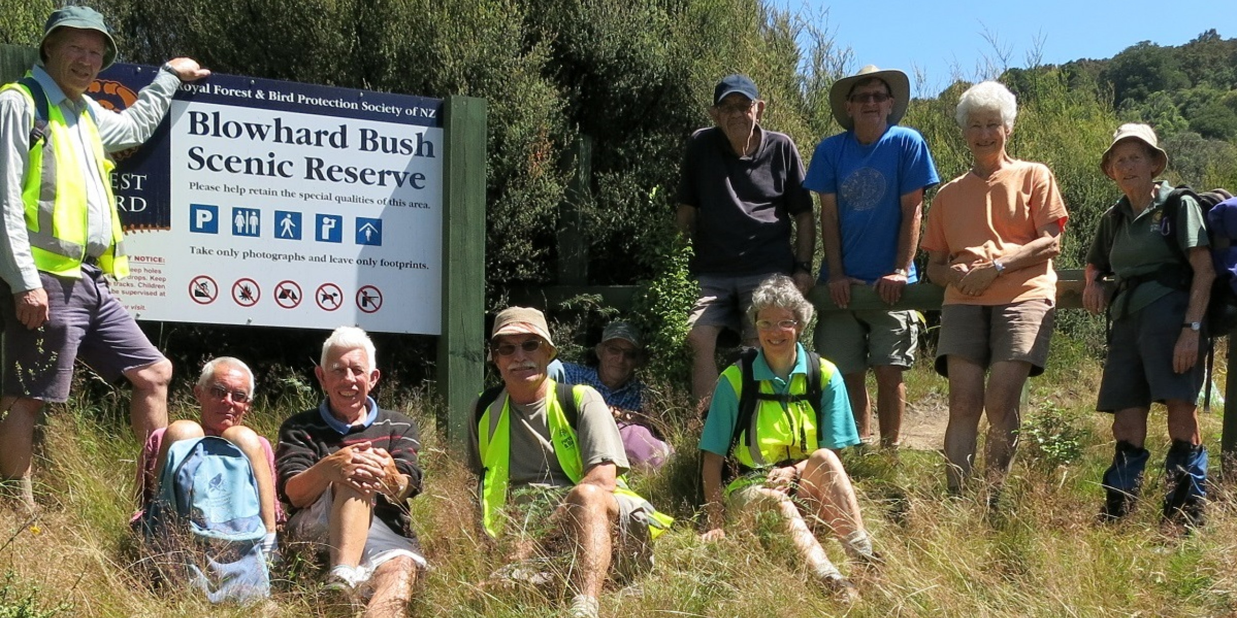 Blowhard Bush Reserve, Hastings | Forest and Bird