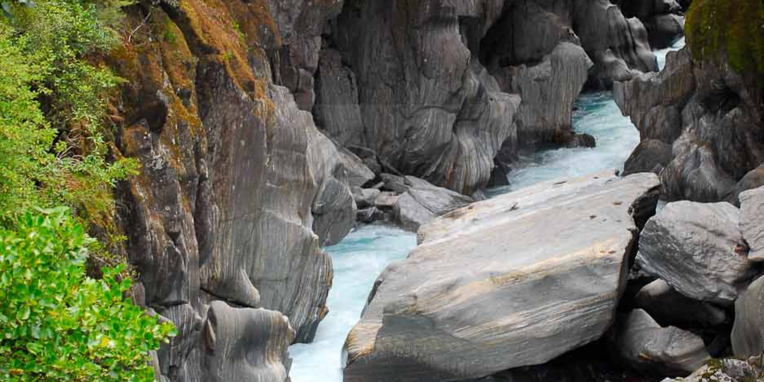 Waitaha River saved from hydro scheme | Forest and Bird