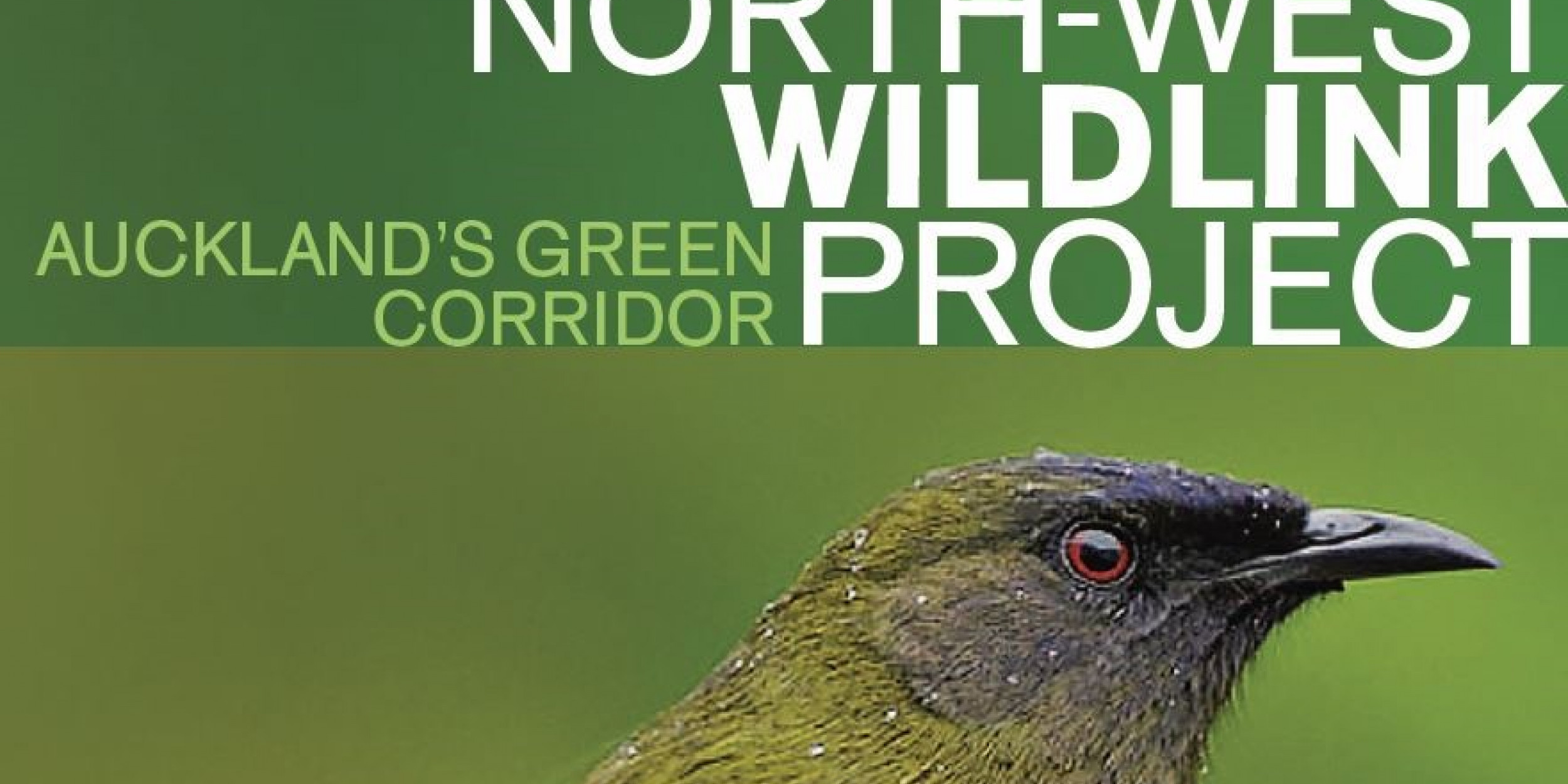 North-West Wildlink | Forest and Bird