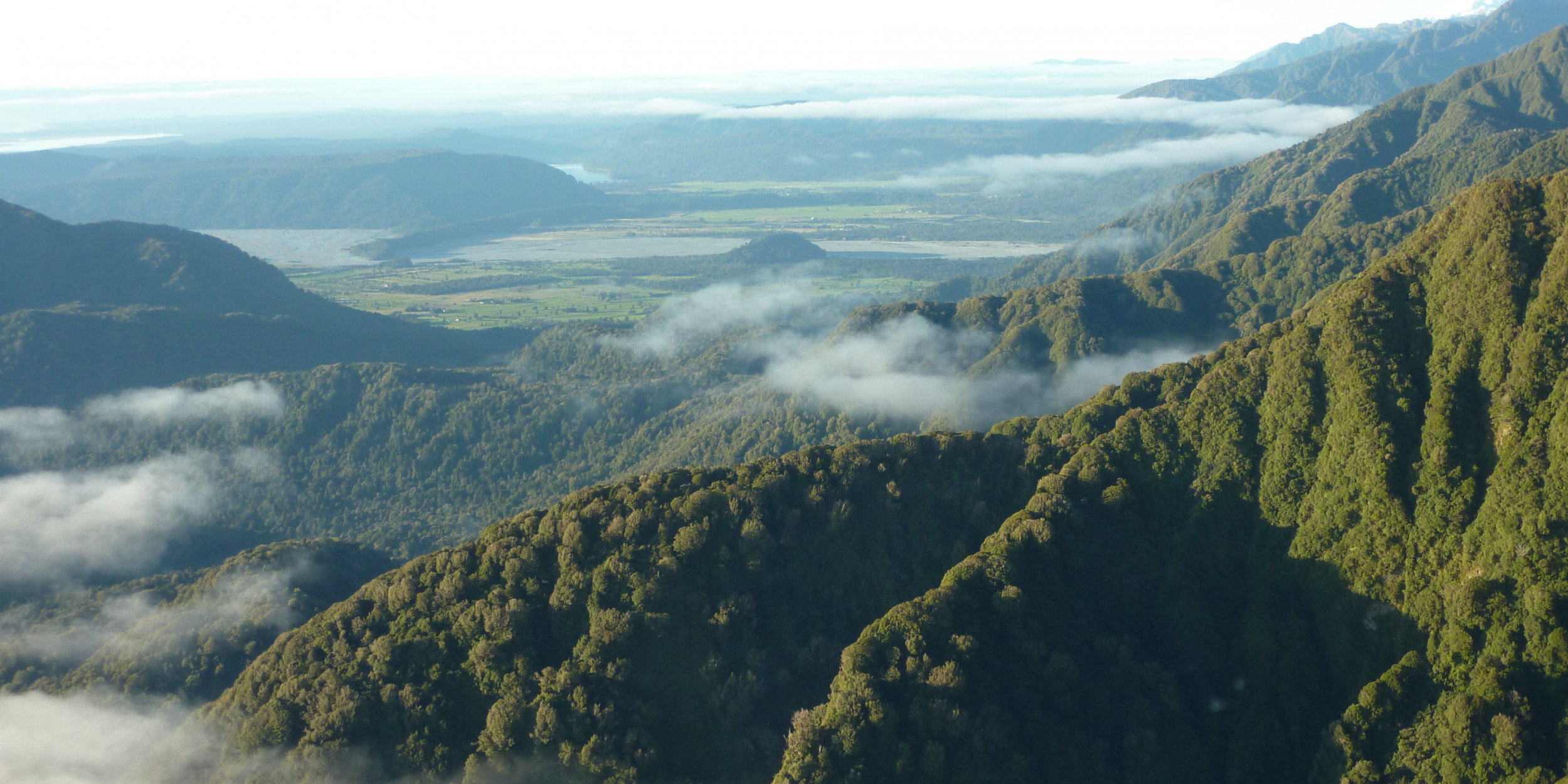 Protect New Zealand’s National Parks | Forest and Bird