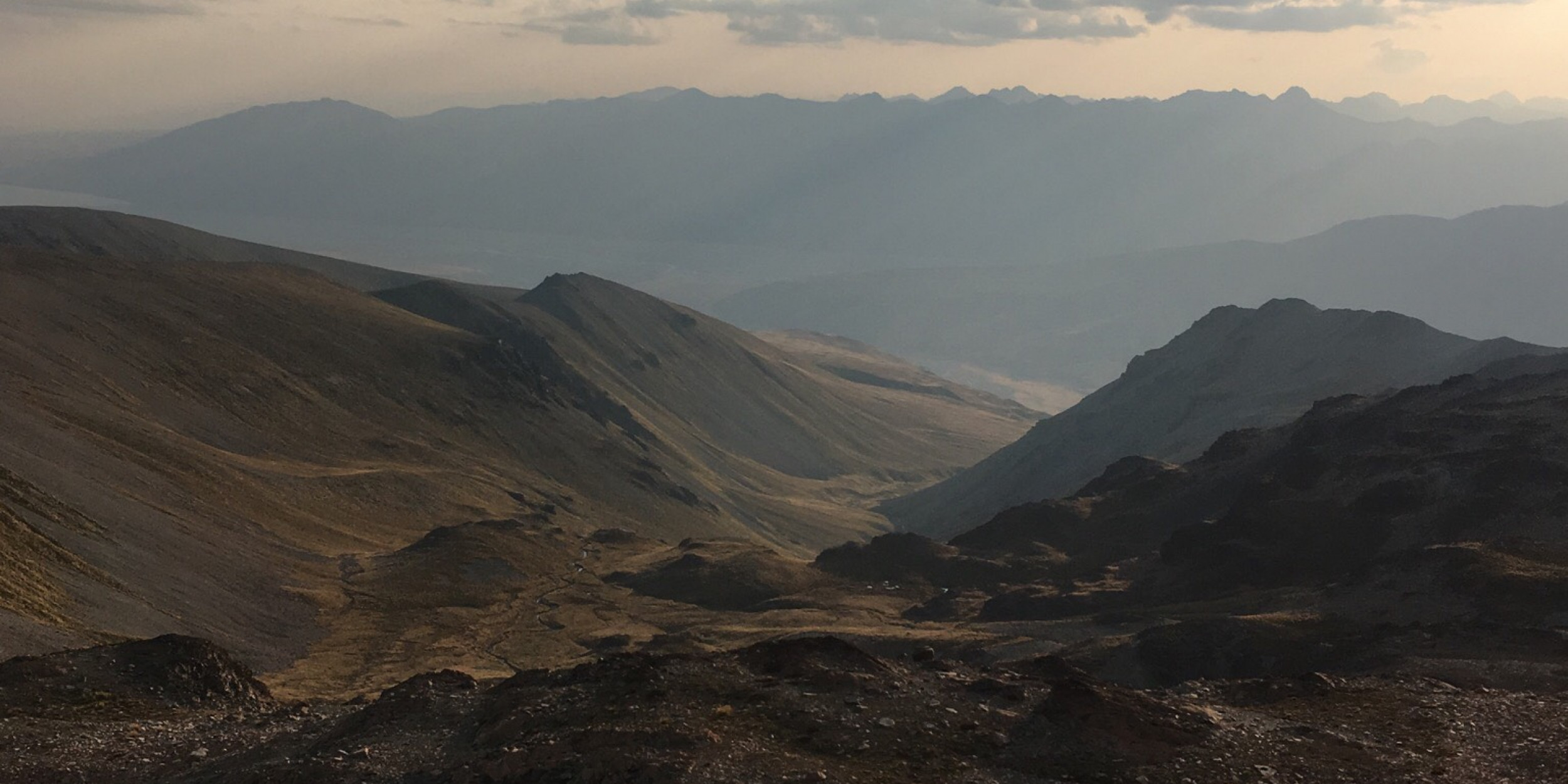 Mammals in the Mackenzie Basin | Forest and Bird