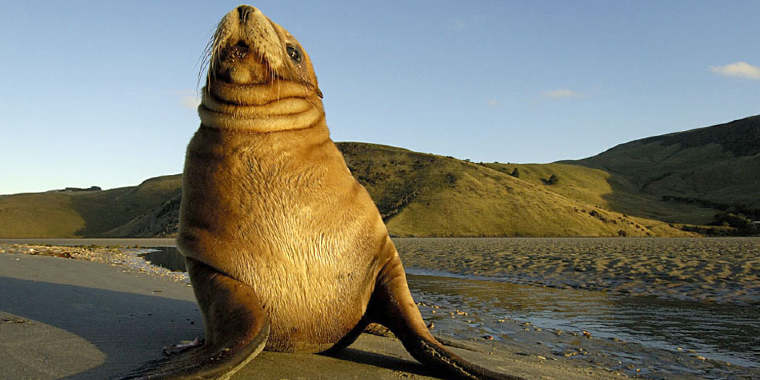 Court of Appeal to hear Motiti coastal marine case | Forest and Bird