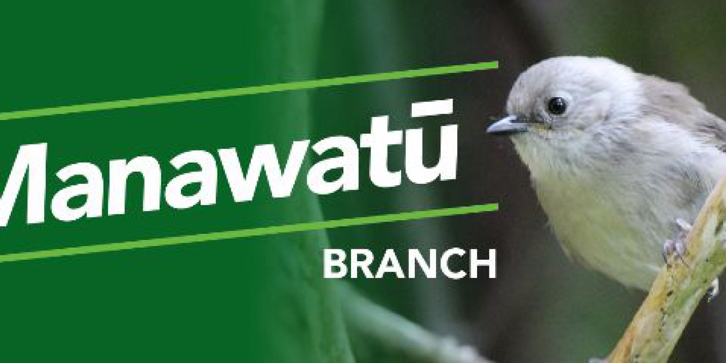 Manawatū | Forest and Bird