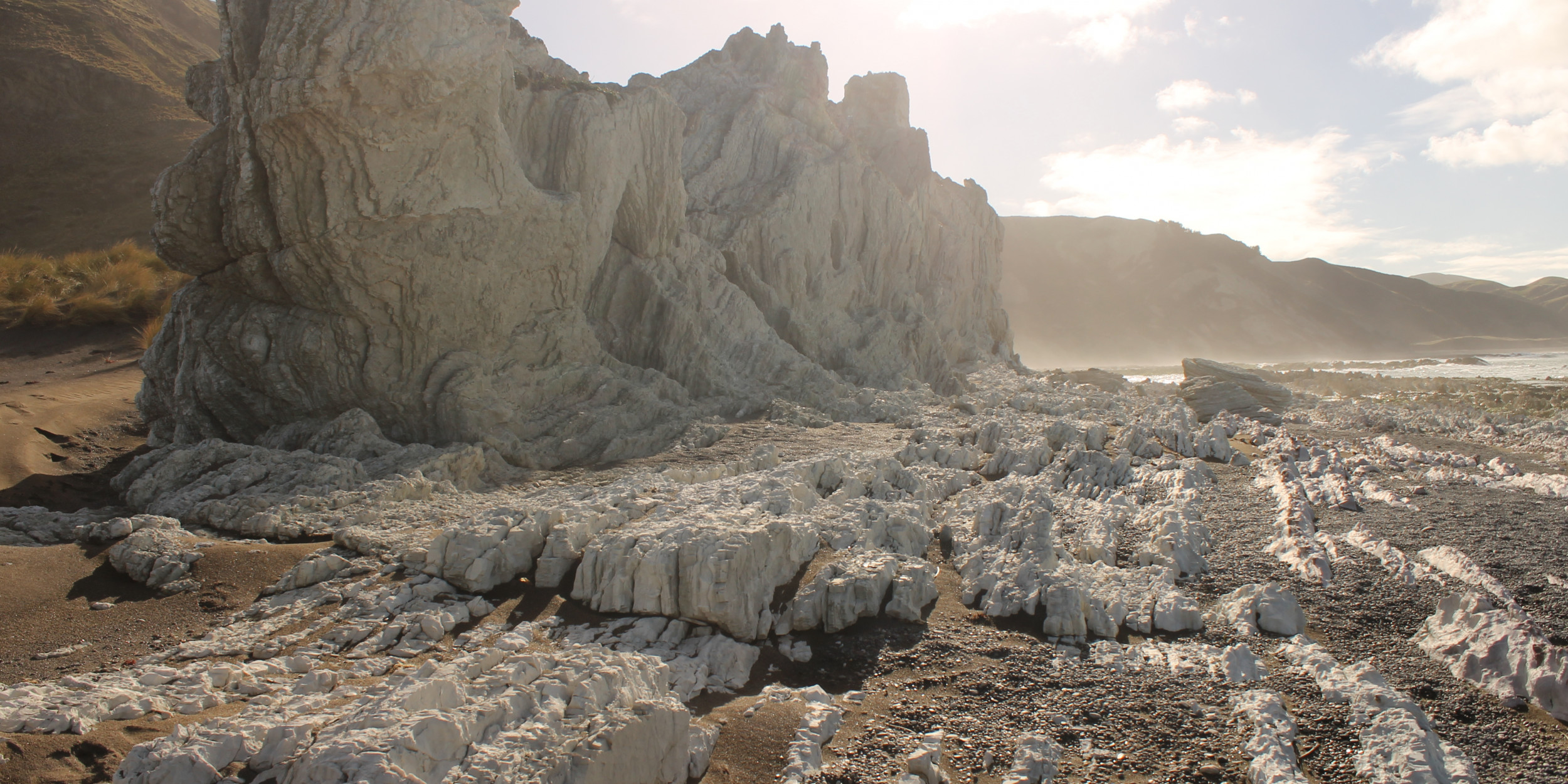 Register for the 2021 South Island Gathering | Forest and Bird