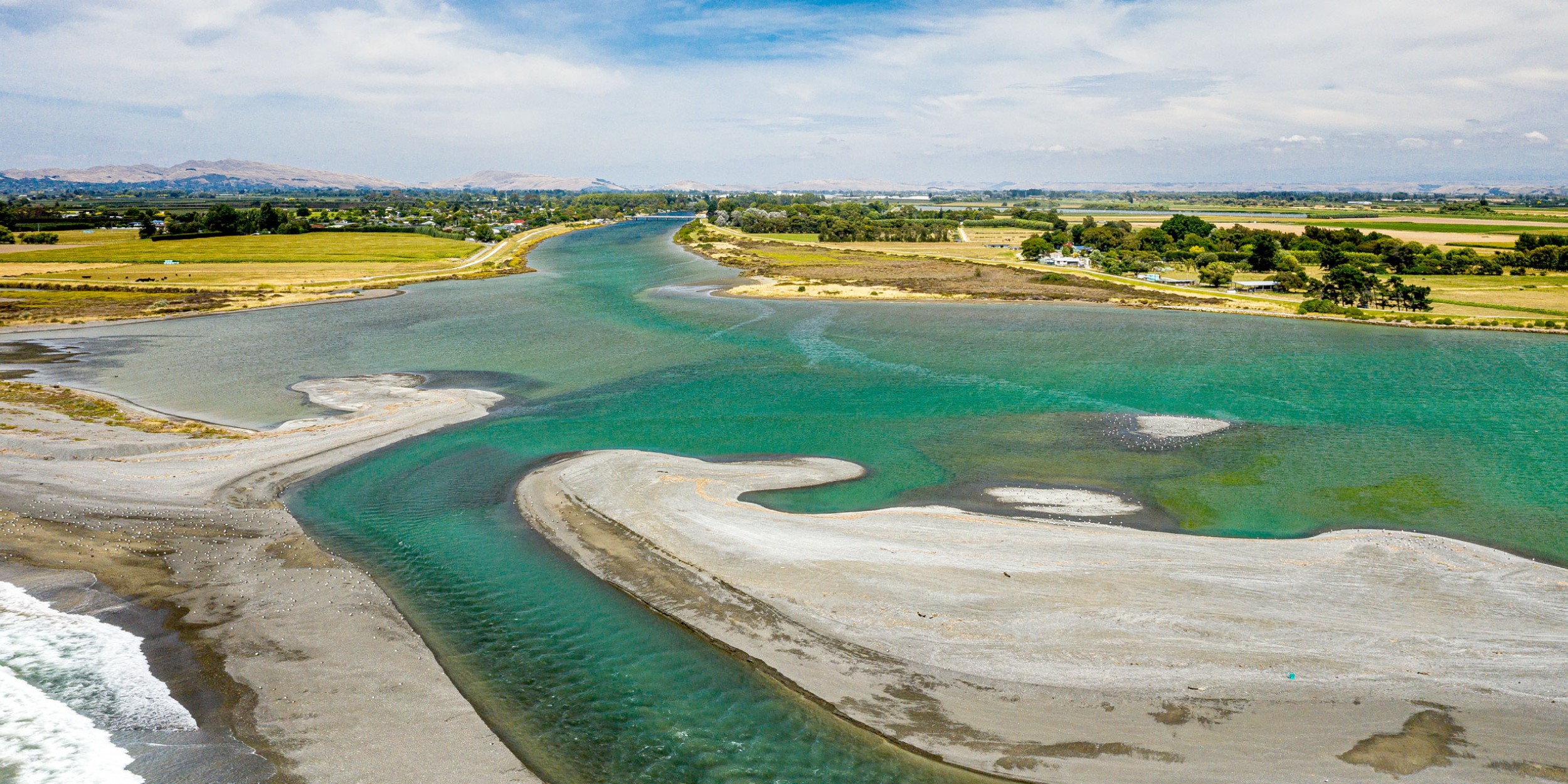 Room for Rivers | Forest and Bird