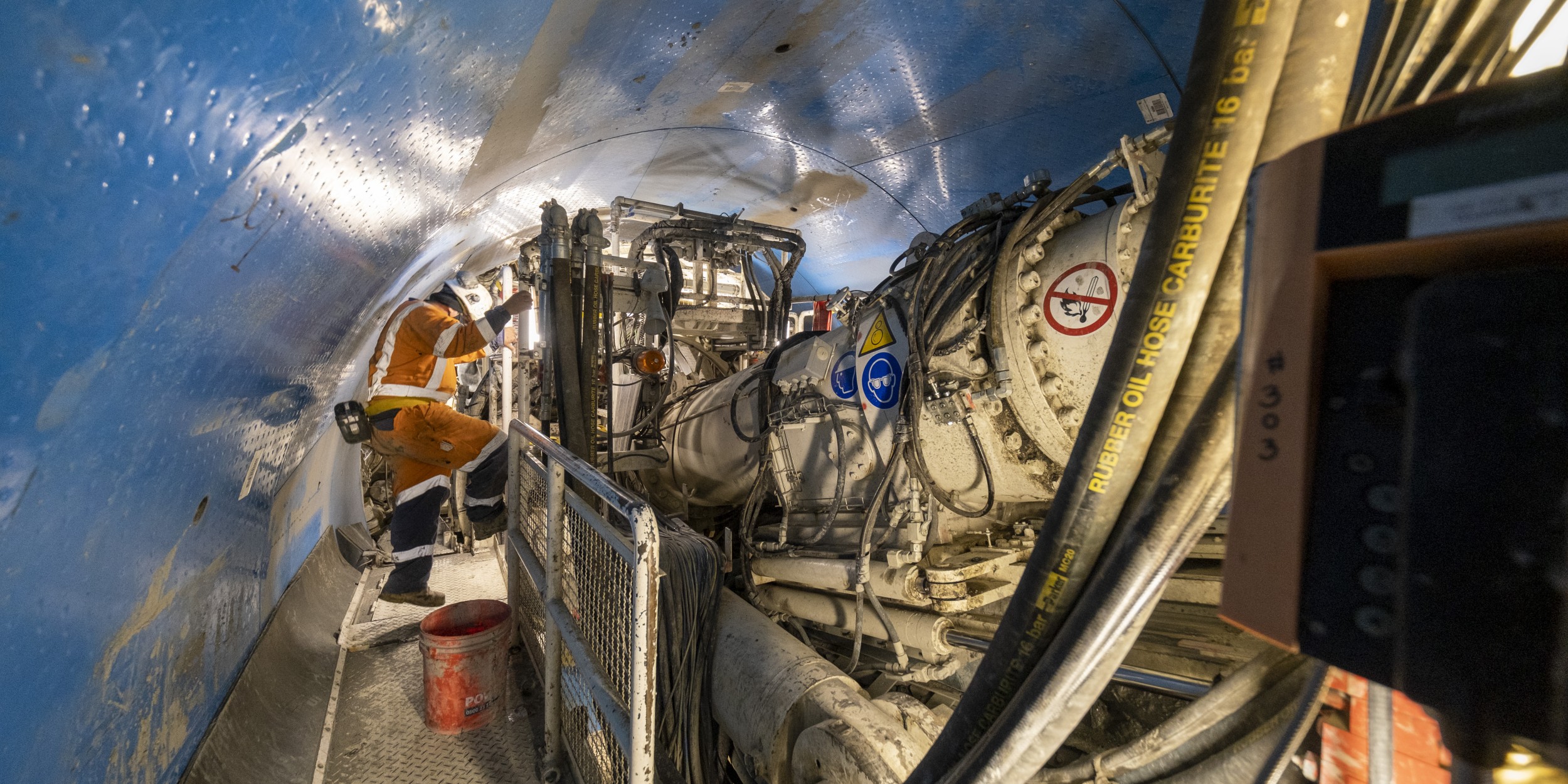 Finding the world's oldest flax snail fossils | Forest and Bird