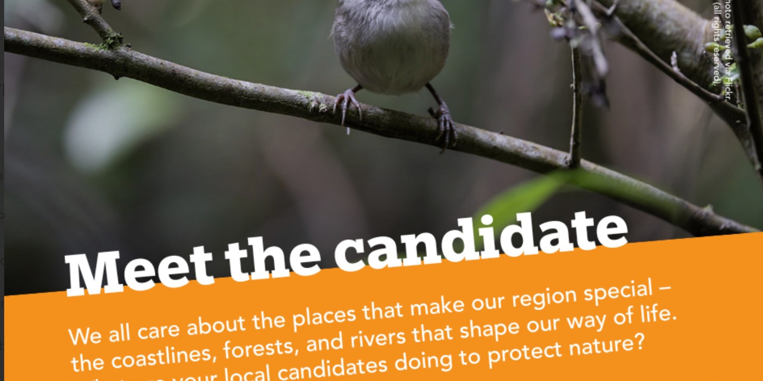 Meet the Waitākere election Candidates | Forest and Bird