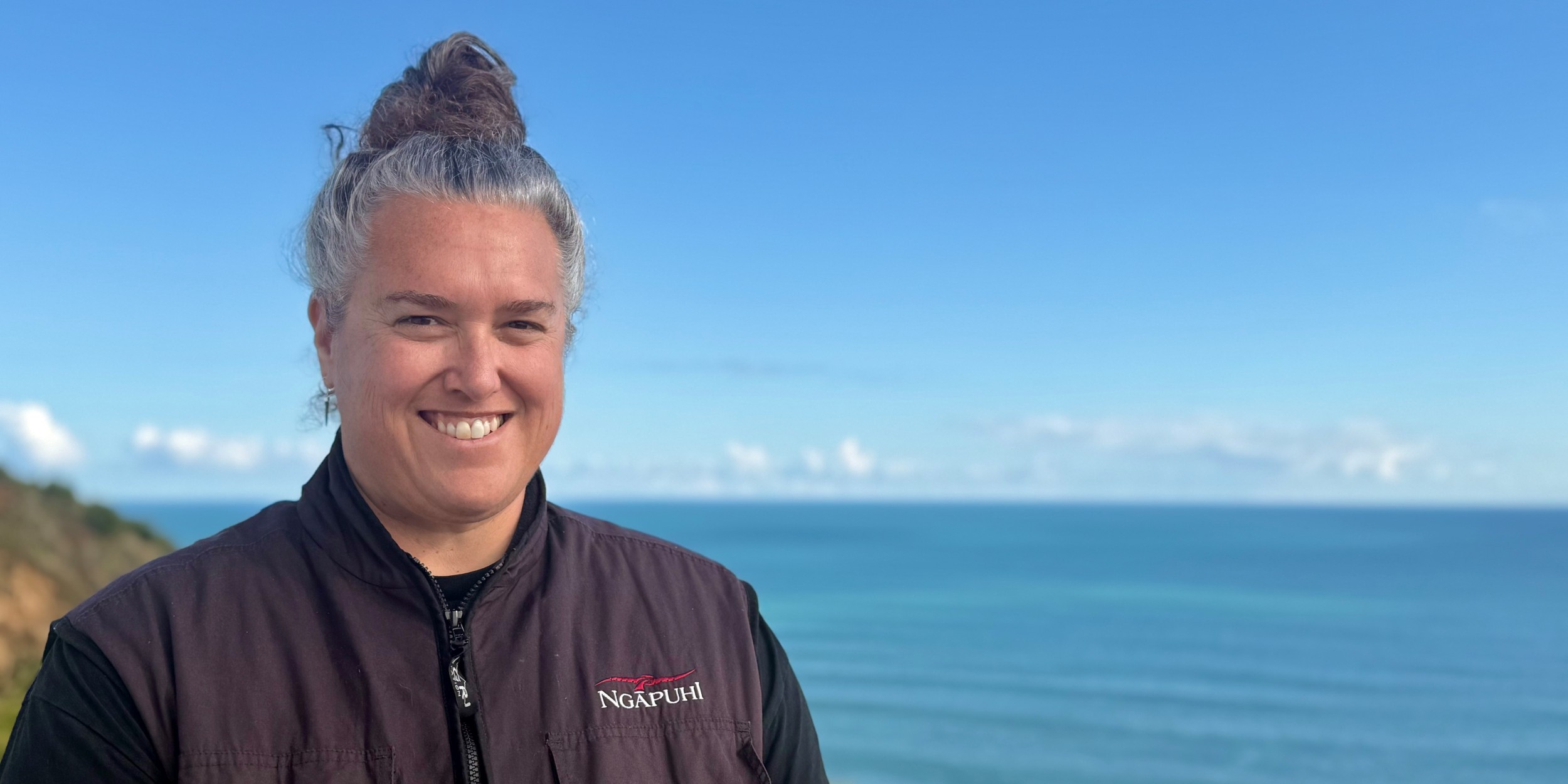 Hauraki Gulf Bill passes, but more protection needed from commercial ...