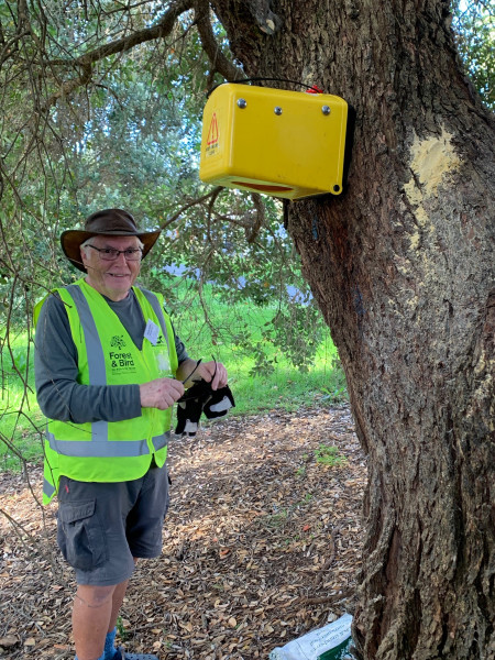 How can you help PFHC? | Forest and Bird