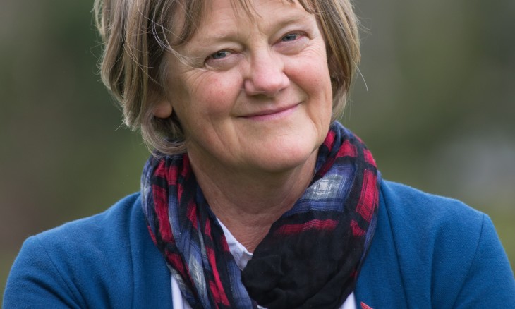 Warkworth Area | Forest and Bird